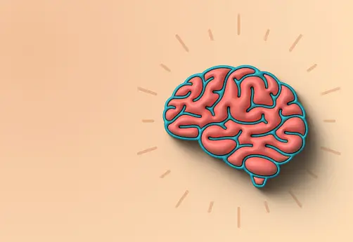 Brain Basics (For Young People) - The Greenhouse Project